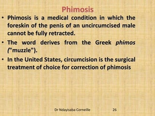Anatomy of the Male internal genitalia.pptx
