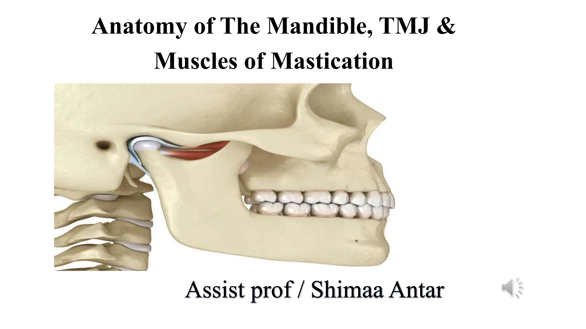 Anatomy of the mandible, TMJ & Muscles.ppsx