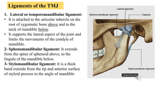 Anatomy of the mandible, TMJ & Muscles.ppsx