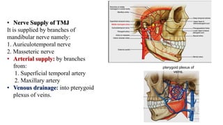 Anatomy of the mandible, TMJ & Muscles.ppsx