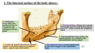 Anatomy of the mandible, TMJ & Muscles.ppsx