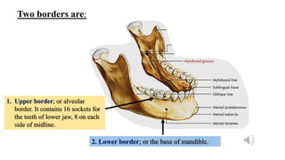 Anatomy of the mandible, TMJ & Muscles.ppsx