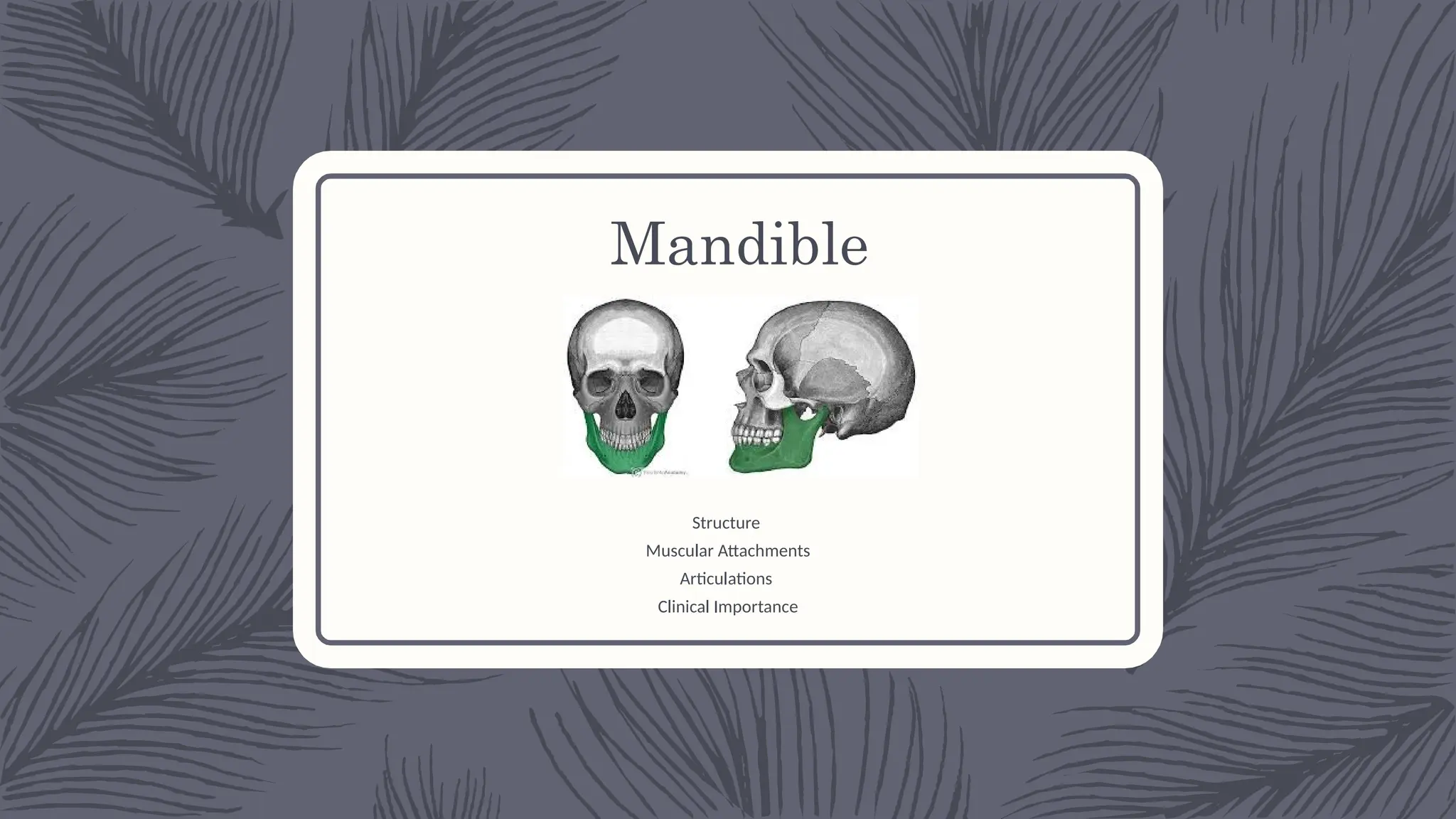 Anatomy of the Mandible, Tongue and Palate.pptx