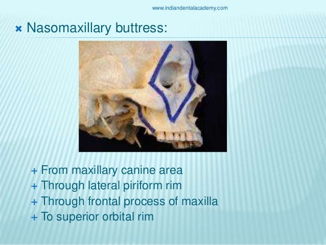 Anatomy of the maxilla and its surgical implications /cosmetic dentis…