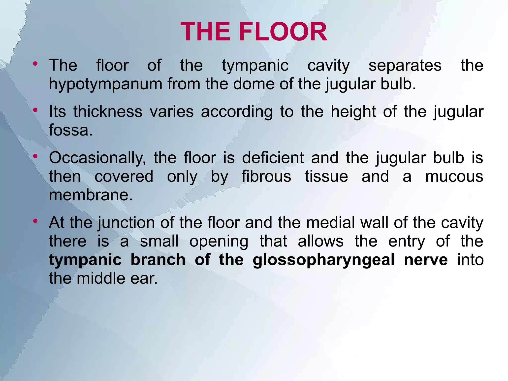 Anatomy of the middle ear | PPT
