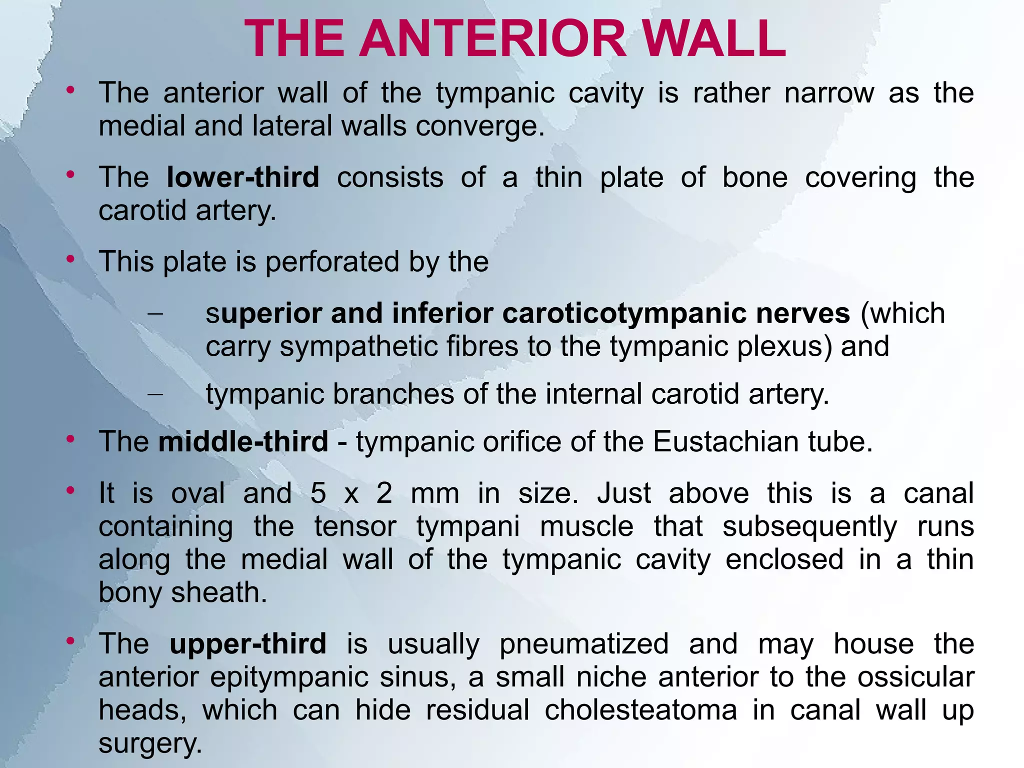 Anatomy of the middle ear | PPT