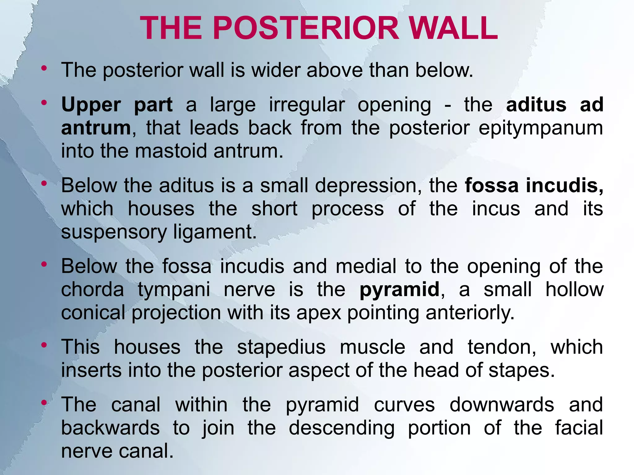 Anatomy of the middle ear | PPT