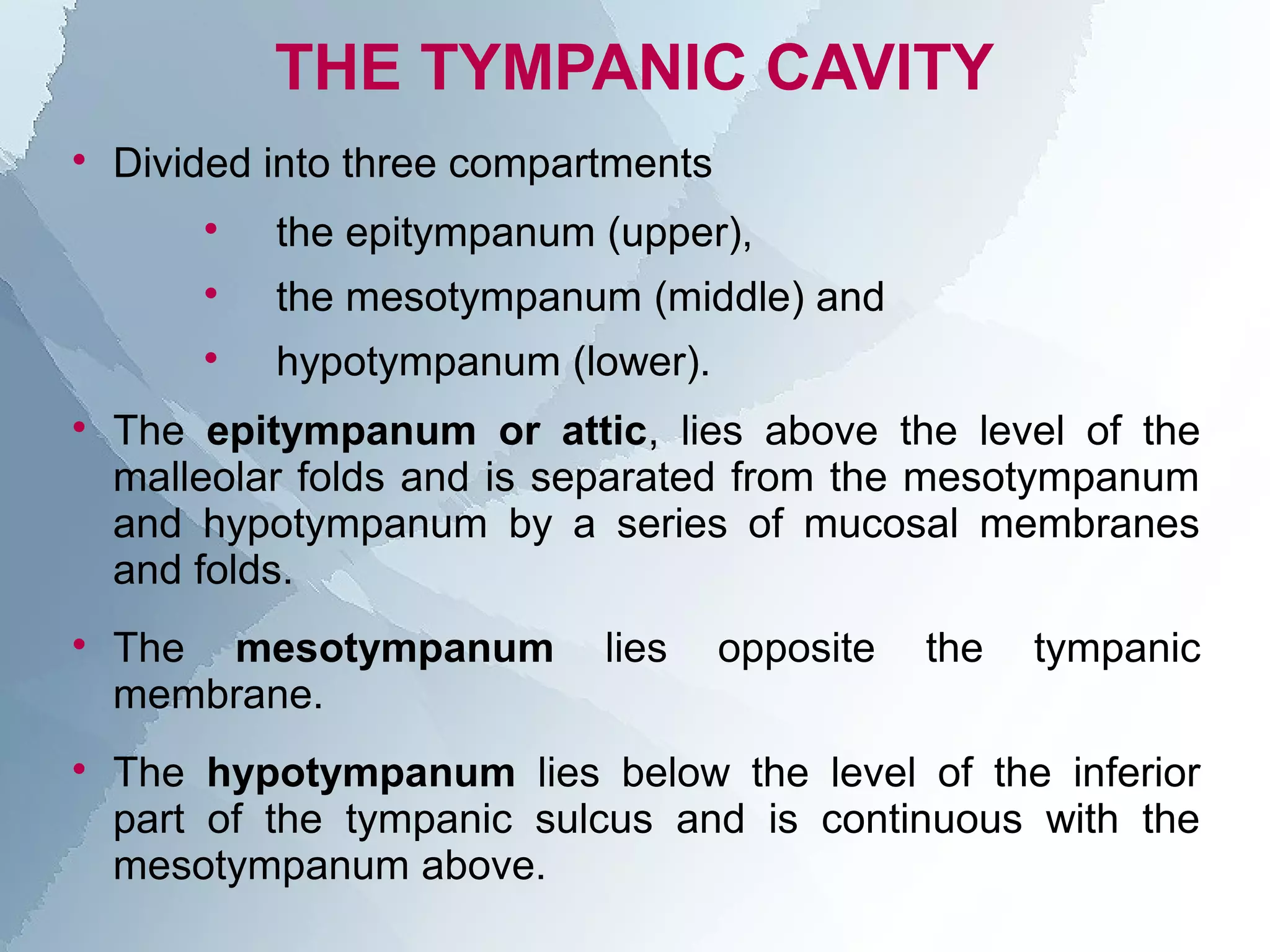 Anatomy of the middle ear | PPT