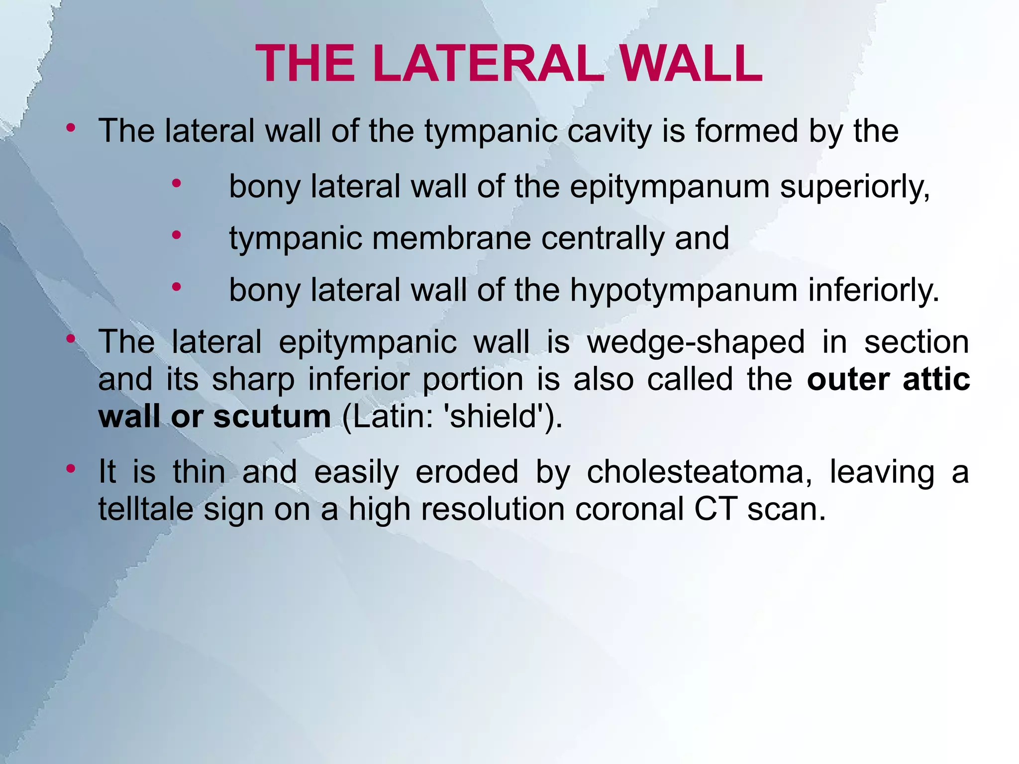 Anatomy of the middle ear | PPT