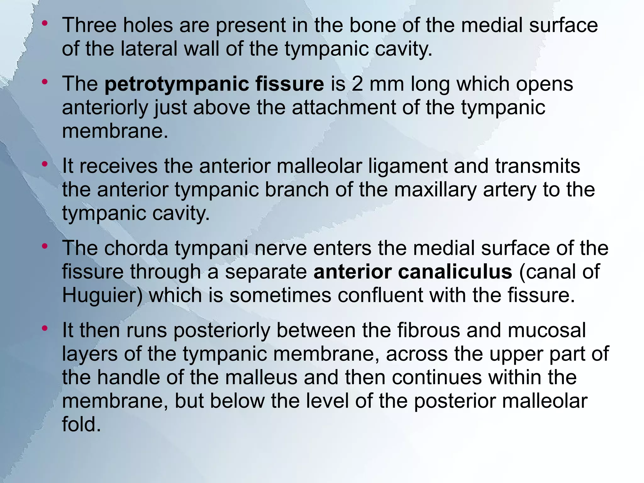 Anatomy of the middle ear | PPT