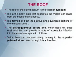 Anatomy of the middle ear | PPT