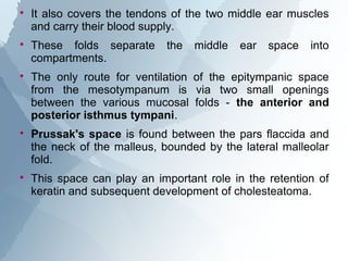 Anatomy of the middle ear | PPT