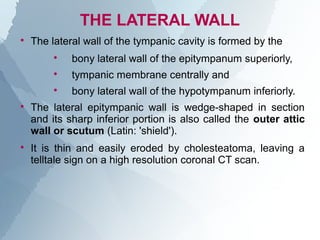 Anatomy of the middle ear | PPT