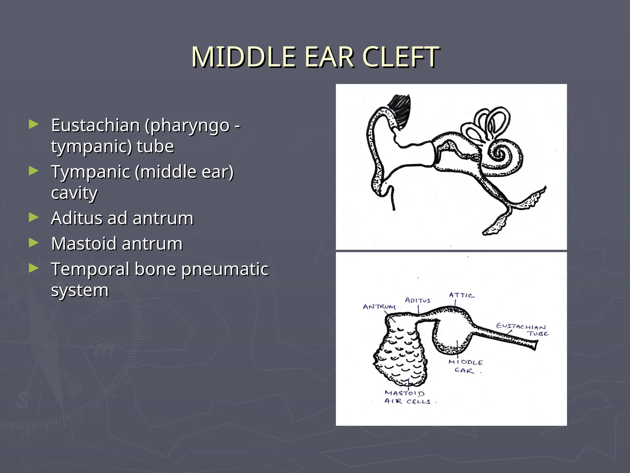 ANATOMY OF THE MIDDLE EAR CLEFT-Powerpoint presentation | PPT
