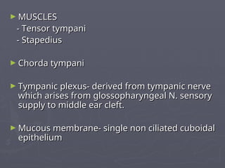 ANATOMY OF THE MIDDLE EAR CLEFT-Powerpoint presentation | PPT