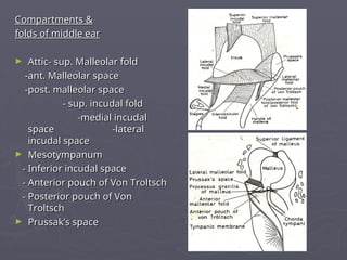 ANATOMY OF THE MIDDLE EAR CLEFT-Powerpoint presentation | PPT