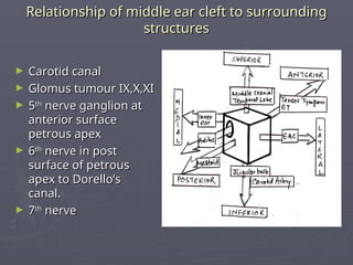 ANATOMY OF THE MIDDLE EAR CLEFT-Powerpoint presentation | PPT