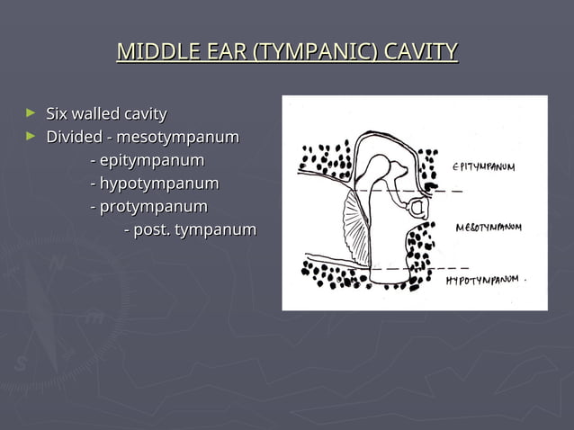 ANATOMY OF THE MIDDLE EAR CLEFT-Powerpoint presentation | PPT
