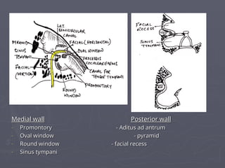 ANATOMY OF THE MIDDLE EAR CLEFT-Powerpoint presentation | PPT