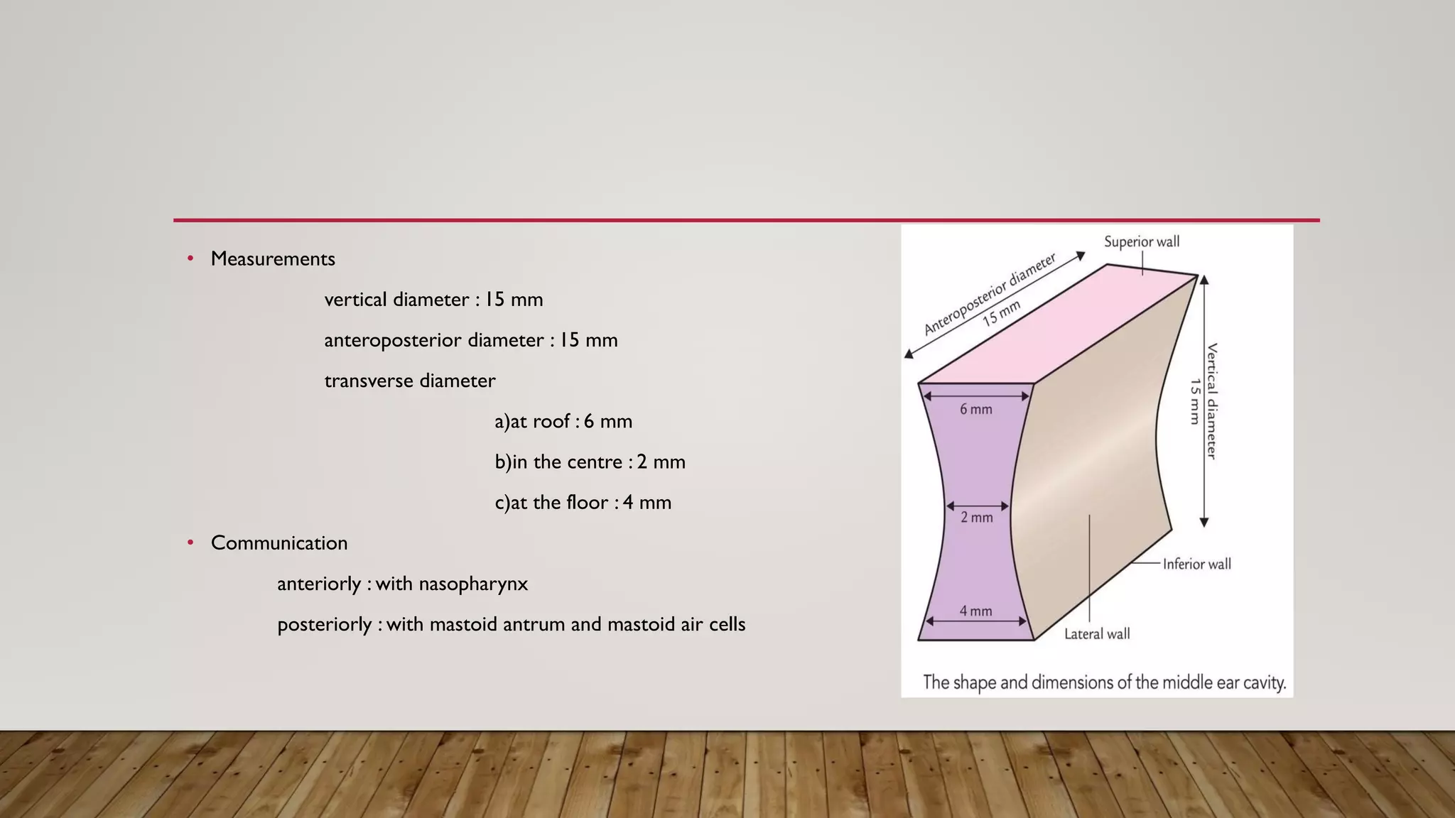 'ANATOMY OF THE MIDDLE EAR' with you.pdf
