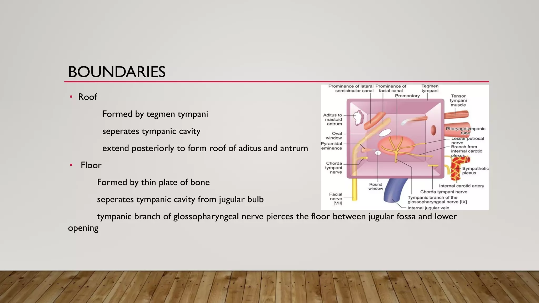 'ANATOMY OF THE MIDDLE EAR' with you.pdf