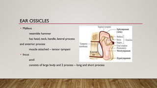 'ANATOMY OF THE MIDDLE EAR' with you.pdf