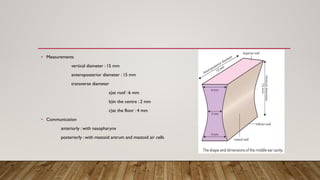 'ANATOMY OF THE MIDDLE EAR' with you.pdf