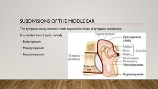 'ANATOMY OF THE MIDDLE EAR' with you.pdf