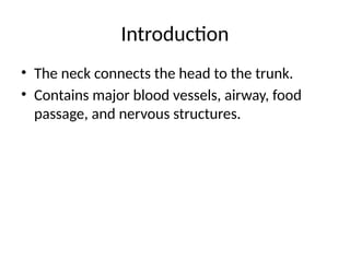 Anatomy_of_the_Neck_Presentaabction.pptx