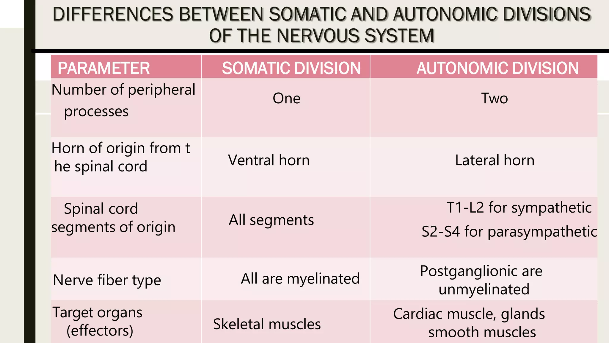 Anatomy of the nervous system | PPT