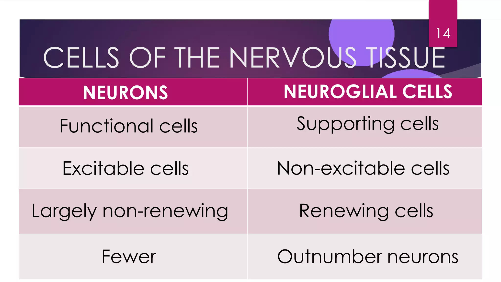 Anatomy of the nervous system | PPT