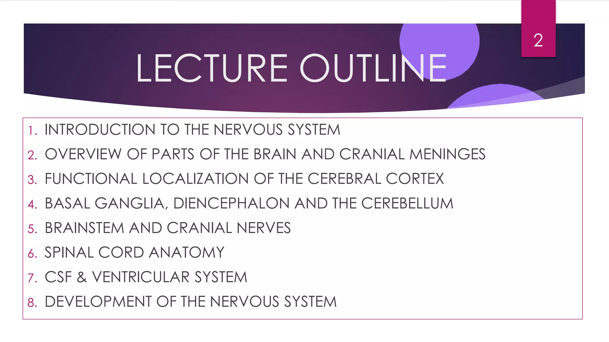 Anatomy of the nervous system | PPT
