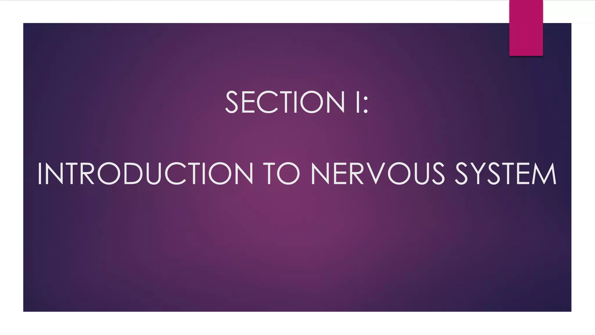 Anatomy of the nervous system | PPT