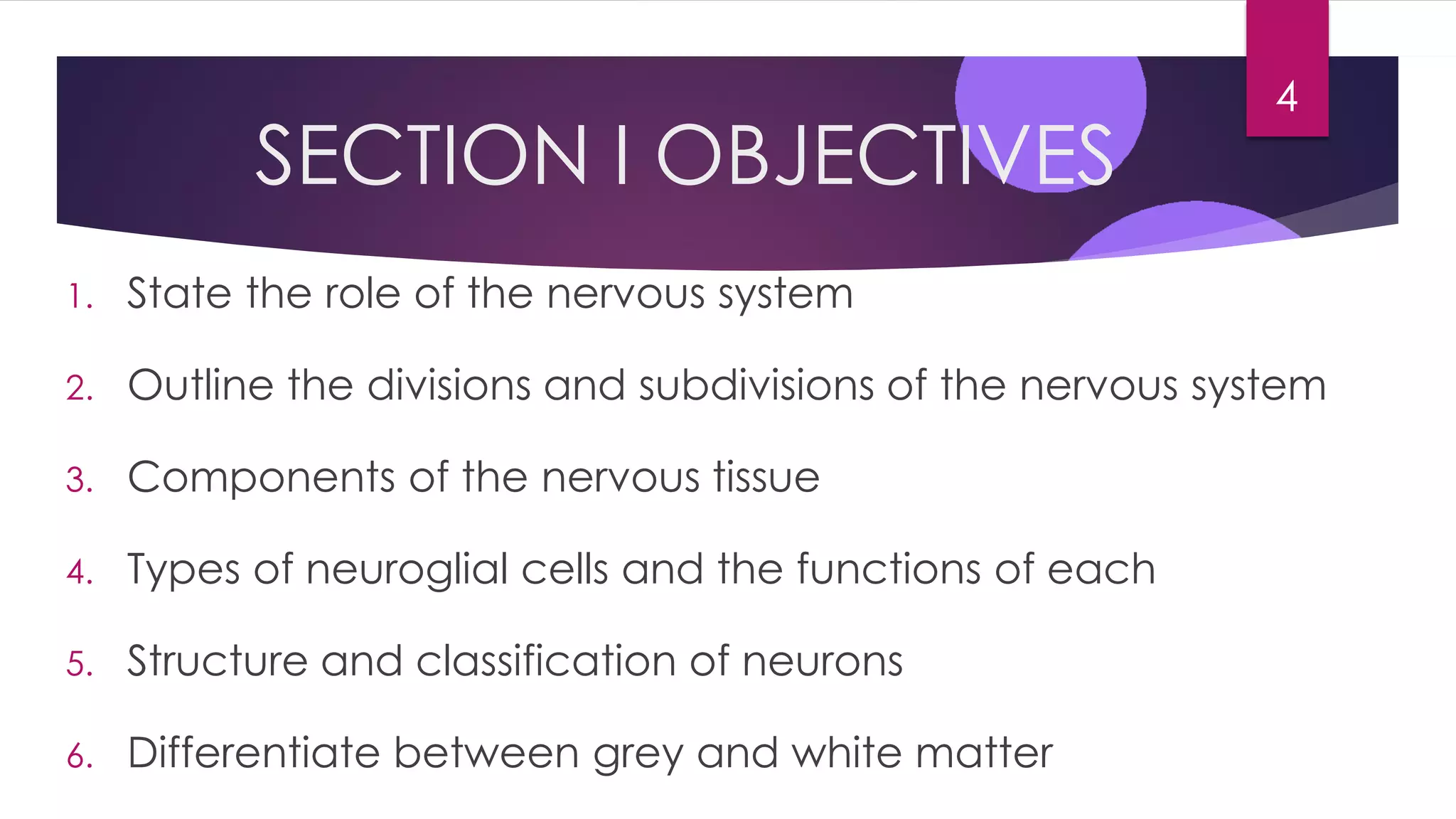 Anatomy of the nervous system | PPT
