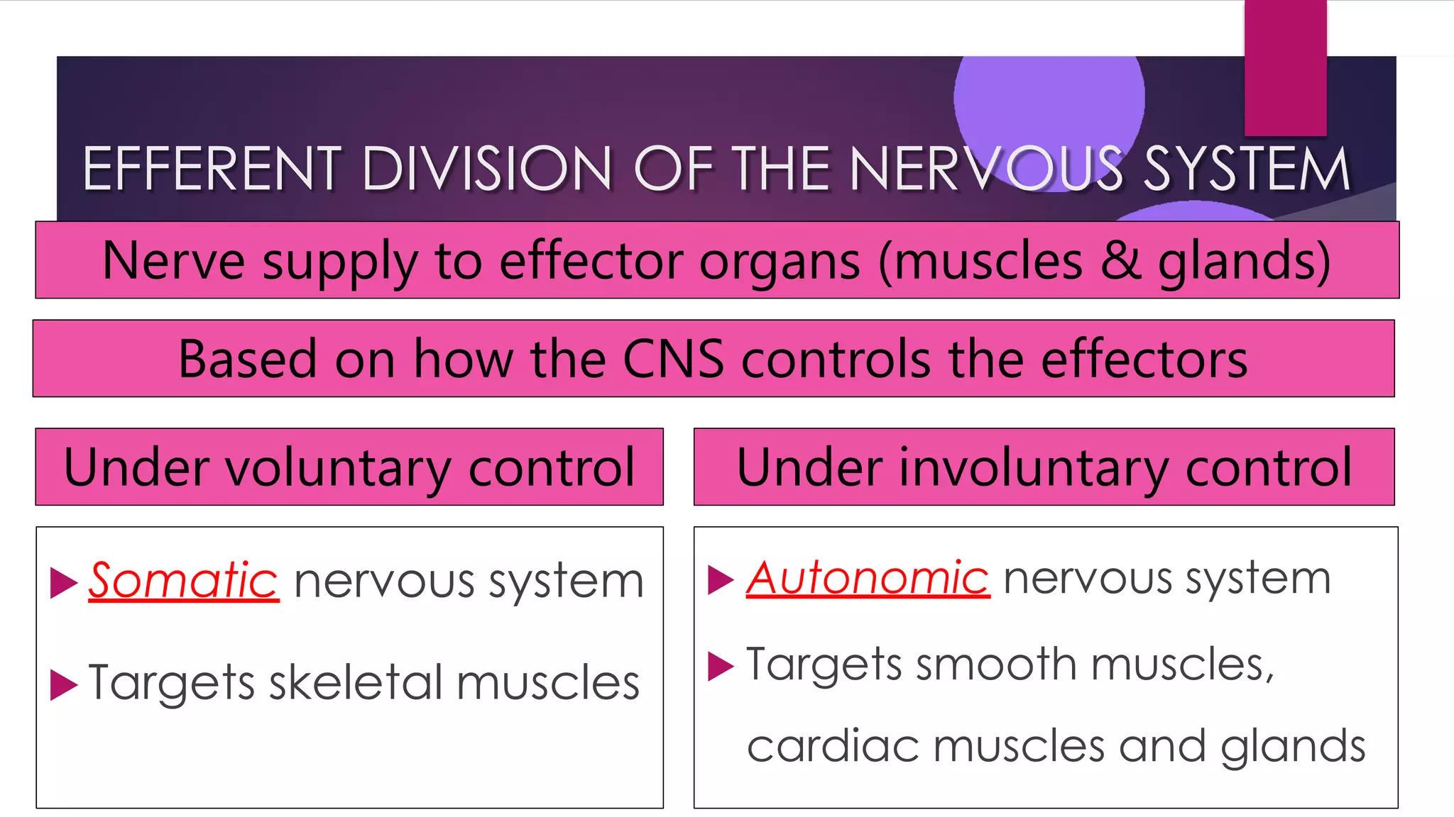 Anatomy of the nervous system | PPT