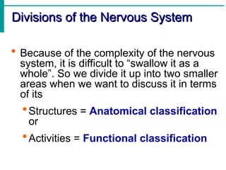 Anatomy of The Nervous System - palnurse.com.ppt