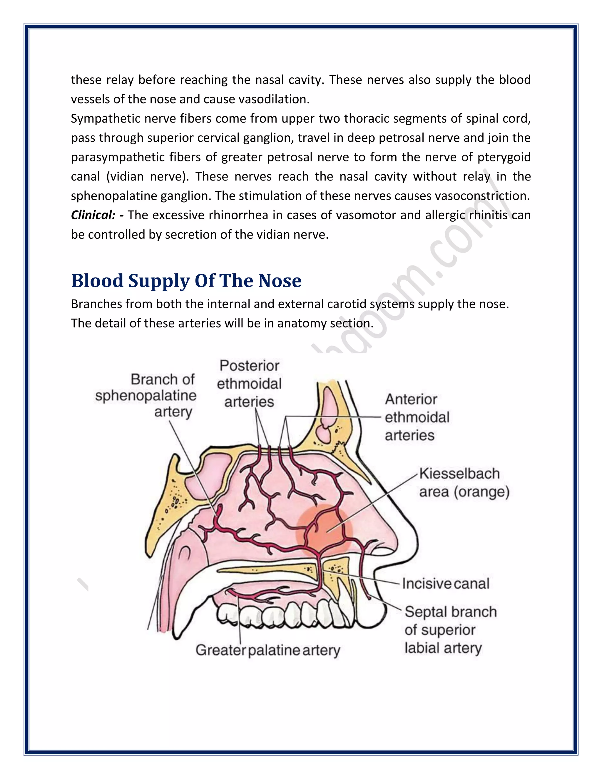 The Nasal Cavity Structure Vasculature Innervation TeachMeAnatomy ...