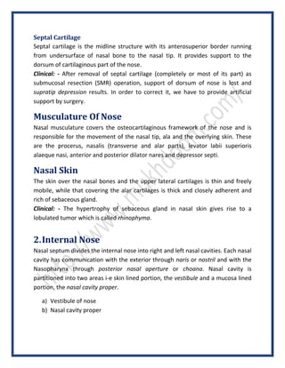 Anatomy of the Nose | SurgicoMed.com