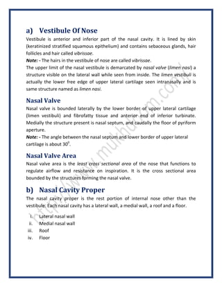 Anatomy of the Nose | SurgicoMed.com