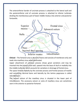 Anatomy of the Nose | SurgicoMed.com