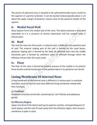Parts Of The Nose And Their Functions