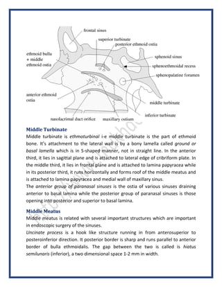 Uncinate Process Nose