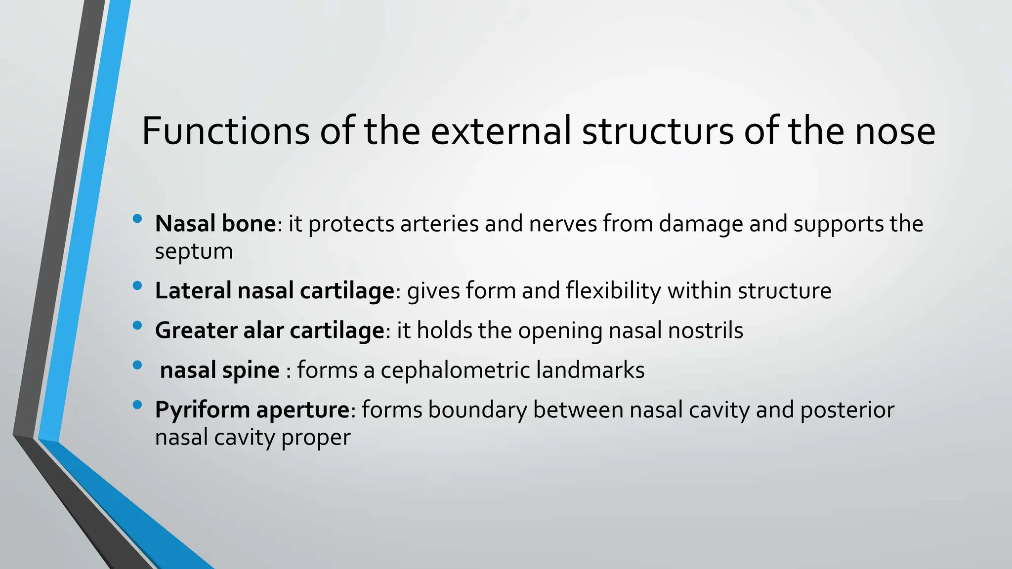 ANATOMY ear nose and th_OF_THE_NOSE.pptx