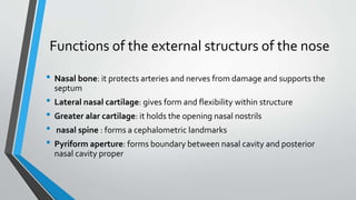 ANATOMY ear nose and th_OF_THE_NOSE.pptx