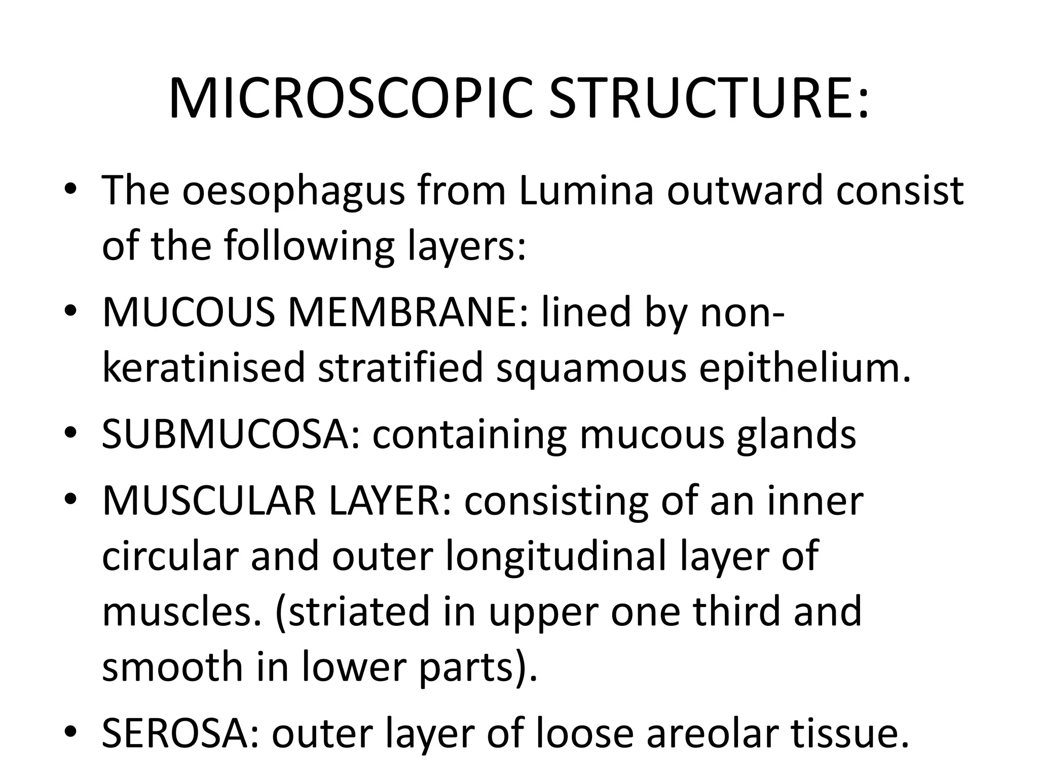 Anatomy of the oesophagus | PPTX