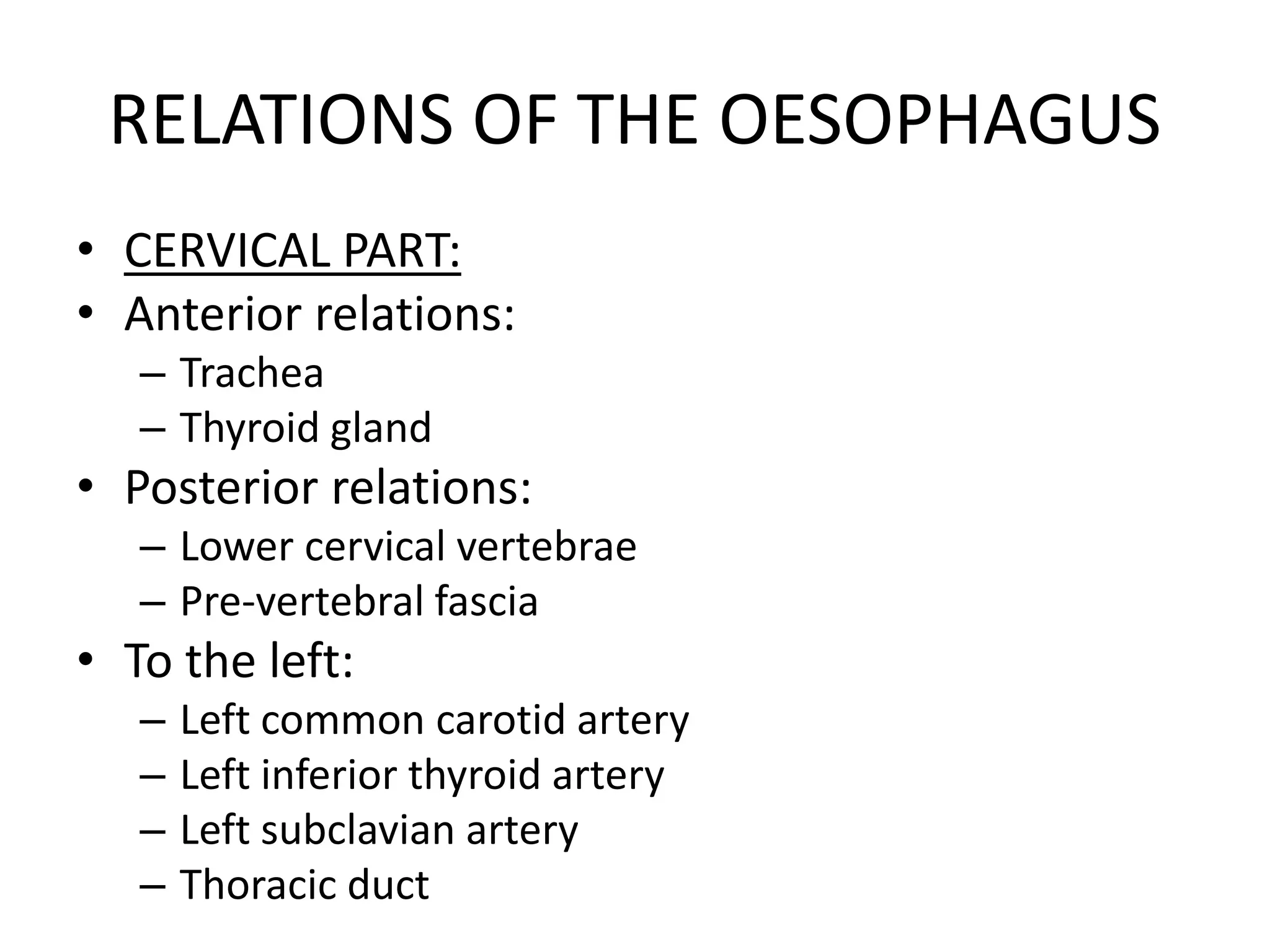Anatomy of the oesophagus | PPTX