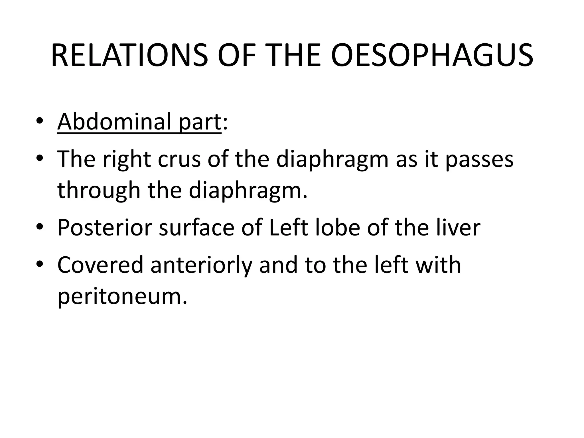 Anatomy of the oesophagus | PPTX