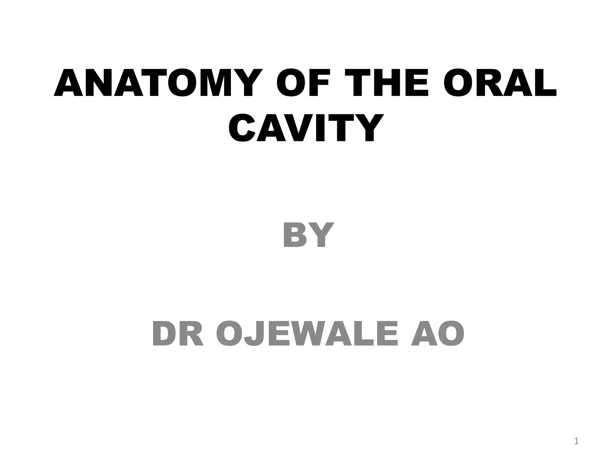 Anatomy Of The Oral Cavitypptx