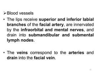 ANATOMY OF THE ORAL CAVITY.pptx