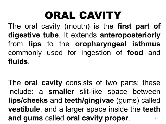 ANATOMY OF THE ORAL CAVITY.pptx